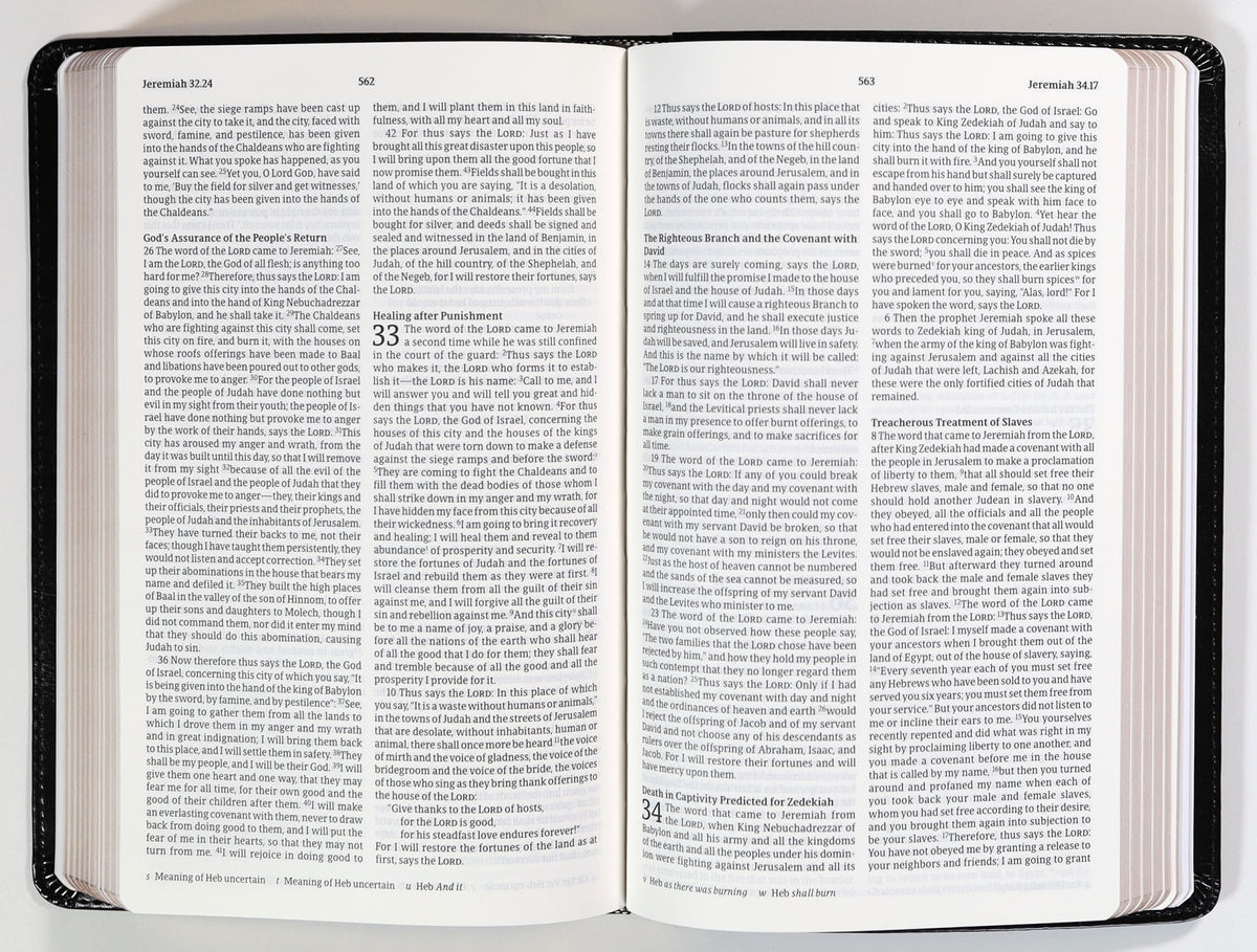 Nrsvue Flexisoft Bible Black – St Paul's Cathedral Shop